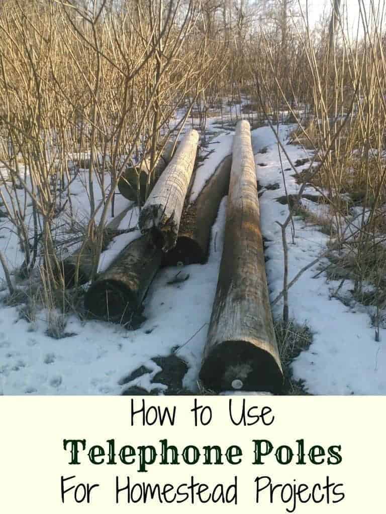 5 Ways to Use Telephone Poles on the Homestead | Pampered Chicken Mama