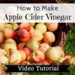 Vent Gleet: Identifying & Treating