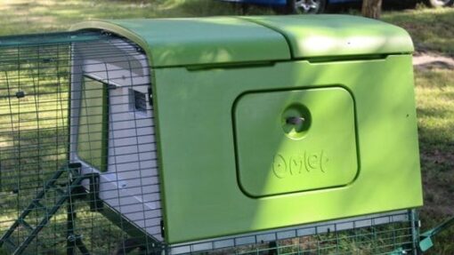 We tried an Eglu Cube Chicken Coop & Here’s What Happened. - Pampered ...