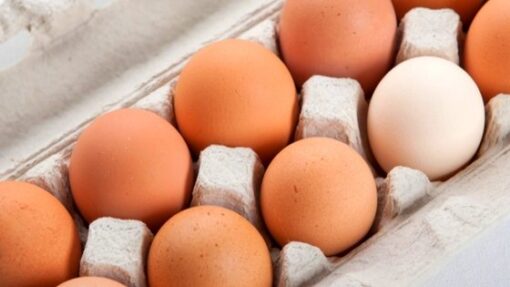 Abnormal Chicken Eggs: What You Need To Know!