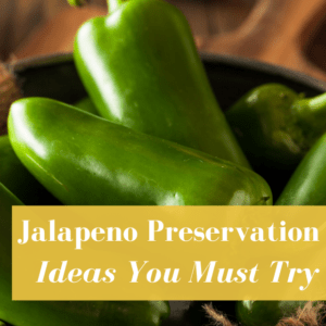 8 Best Ways to Preserve Garlic - Pampered Chicken Mama: Raising ...