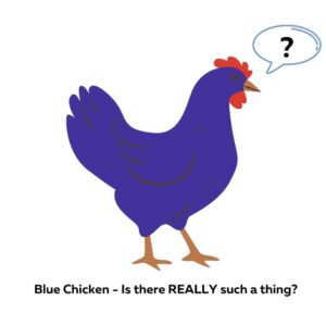 Blue Chicken - Is there REALLY such a thing? - Pampered Chicken Mama ...