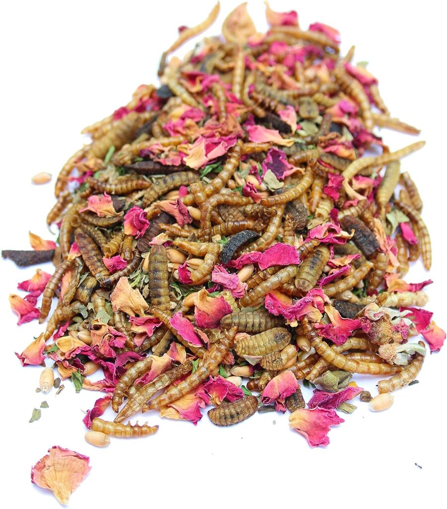 BEE A Beautiful Hen Herbal Treat With Mealworms, Wheat, Bee Pollen ...