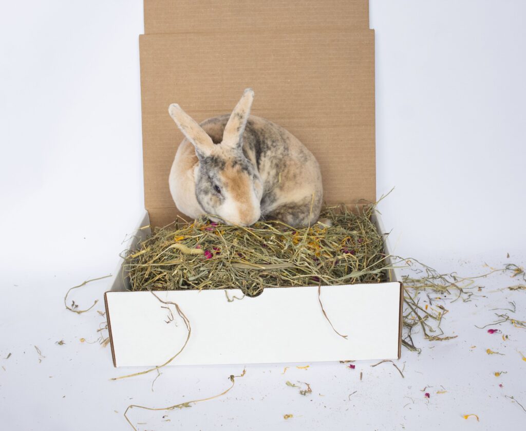 Botanical Hay: Mix of Hay & Culinary Herbs for Rabbits - Pampered ...